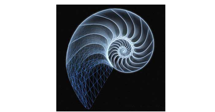 Fibonacci numbers - Codesandbox